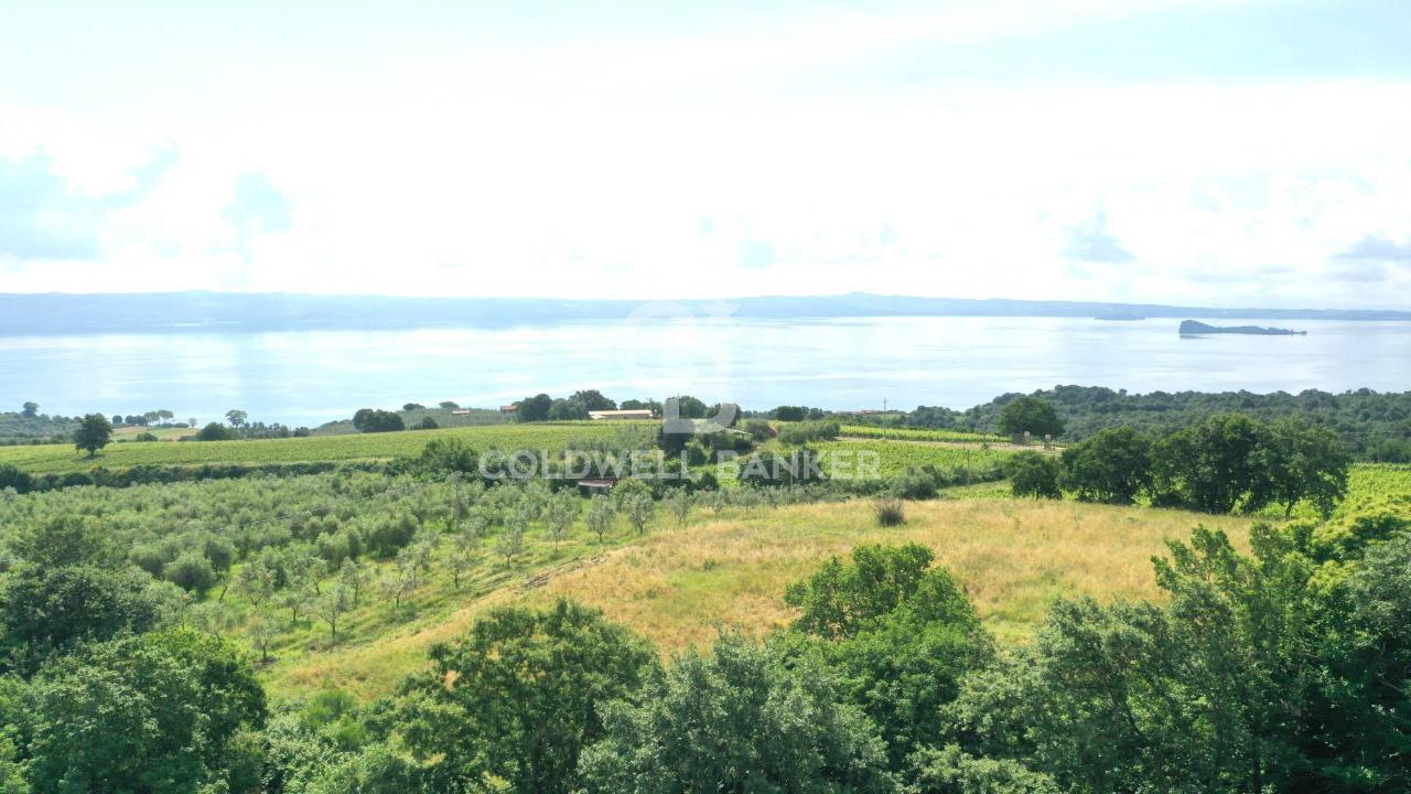 Terreno agricolo in vendita a Gradoli