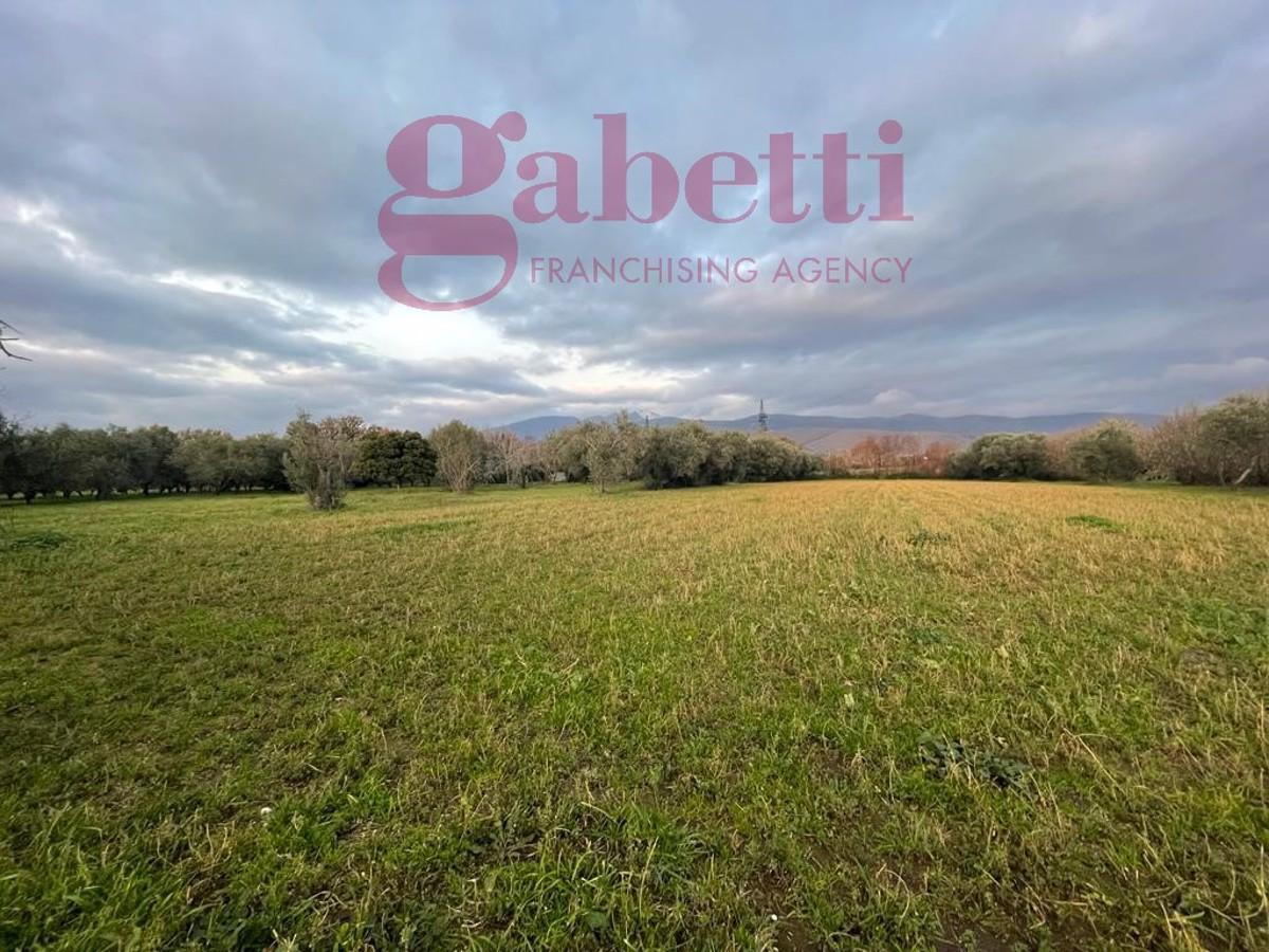 Terreno agricolo in vendita a Pignataro Maggiore