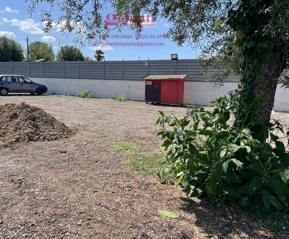 Terreno agricolo in affitto a Vitulazio