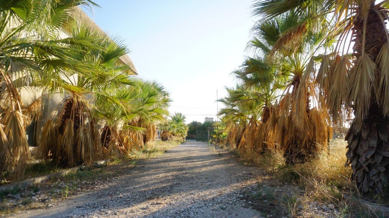 Terreno agricolo in vendita a Castelvetrano