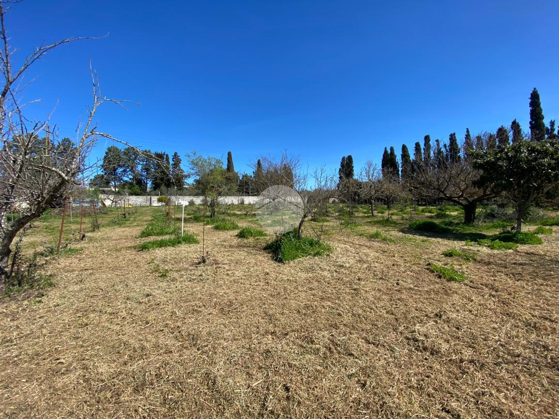 Terreno agricolo in vendita a Sassari