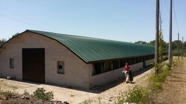 Capannone in affitto a Lanuvio