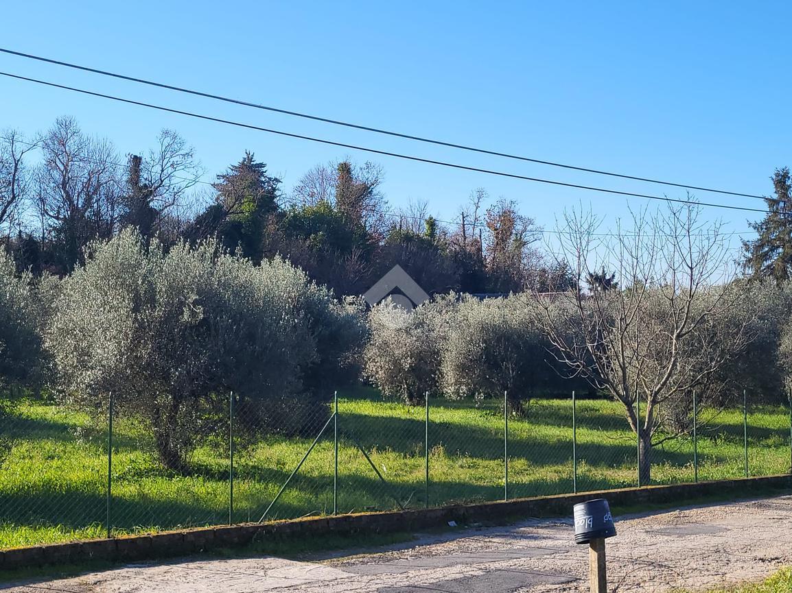 Terreno agricolo in vendita a Velletri