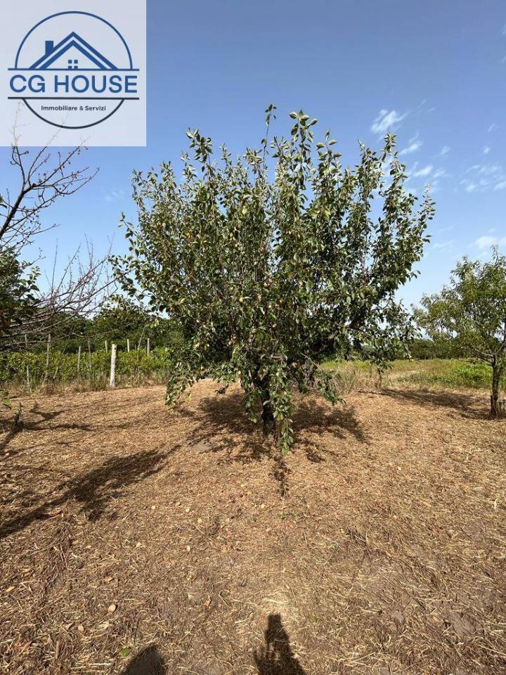 Terreno agricolo in vendita a Somma Vesuviana