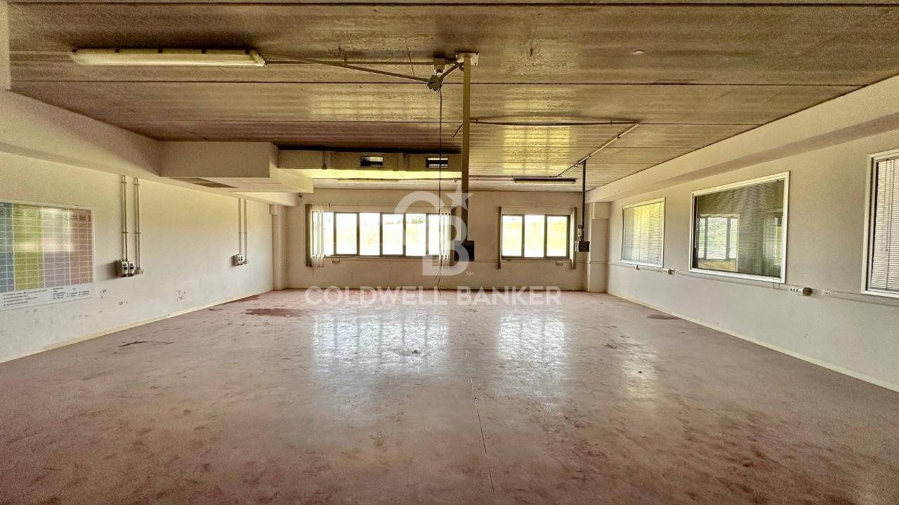 Negozio in affitto a Formello