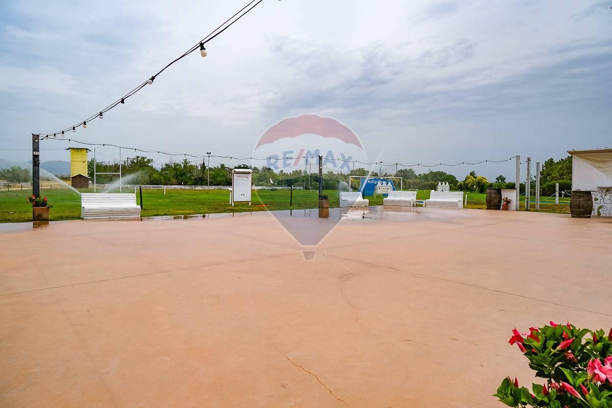 Esercizio commerciale in vendita a San Martino Buon Albergo