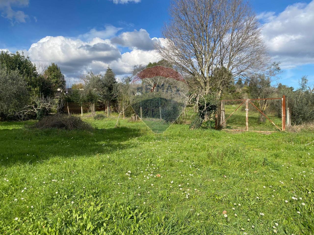 Terreno agricolo in vendita a Velletri