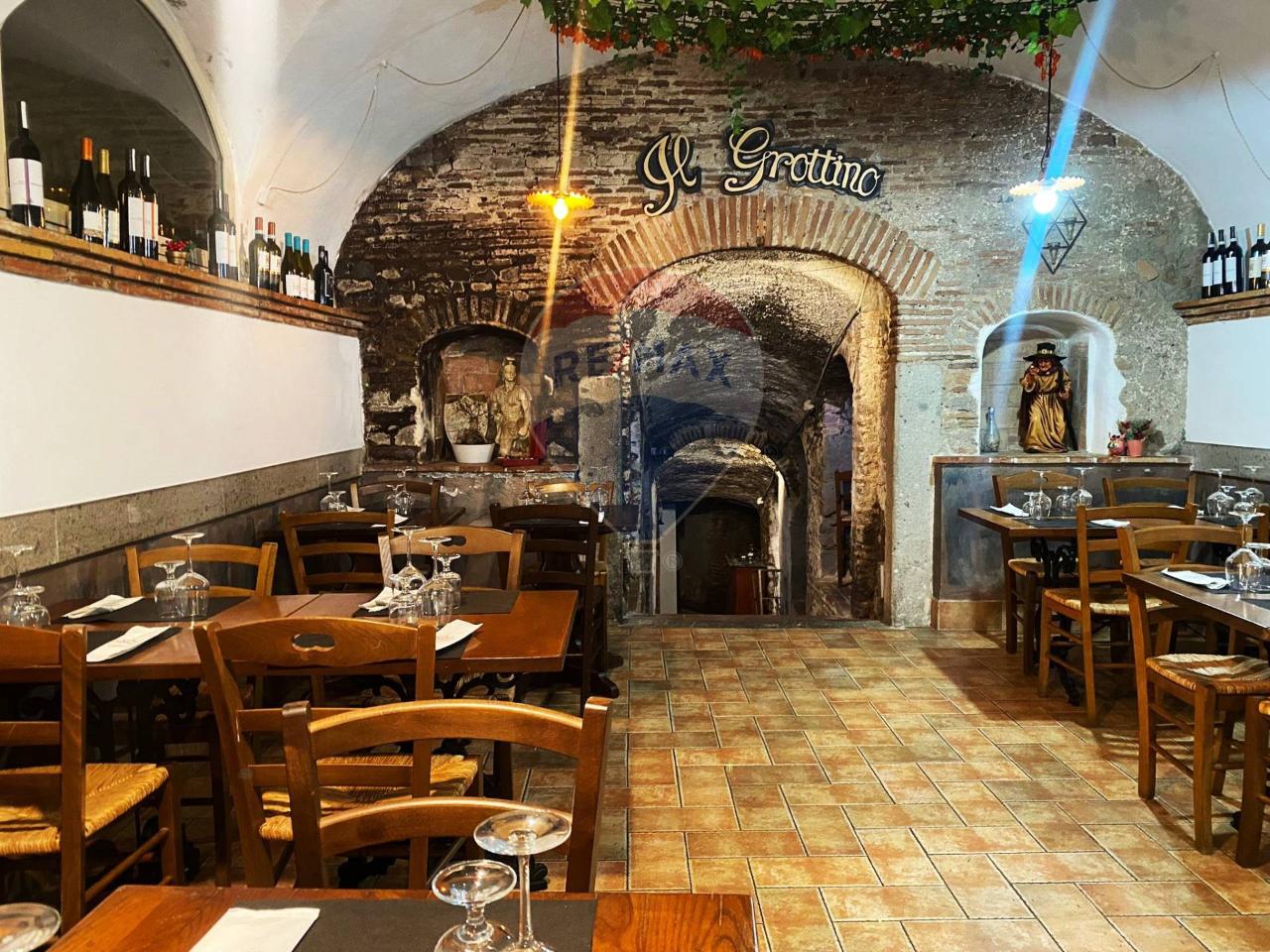 Esercizio commerciale in vendita a Genzano Di Roma