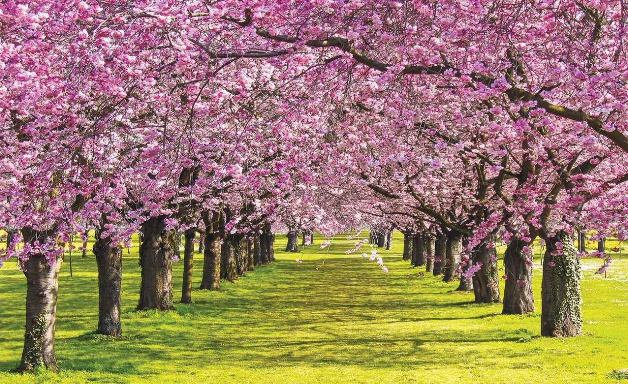 Terreno edificabile in vendita a Mogliano Veneto