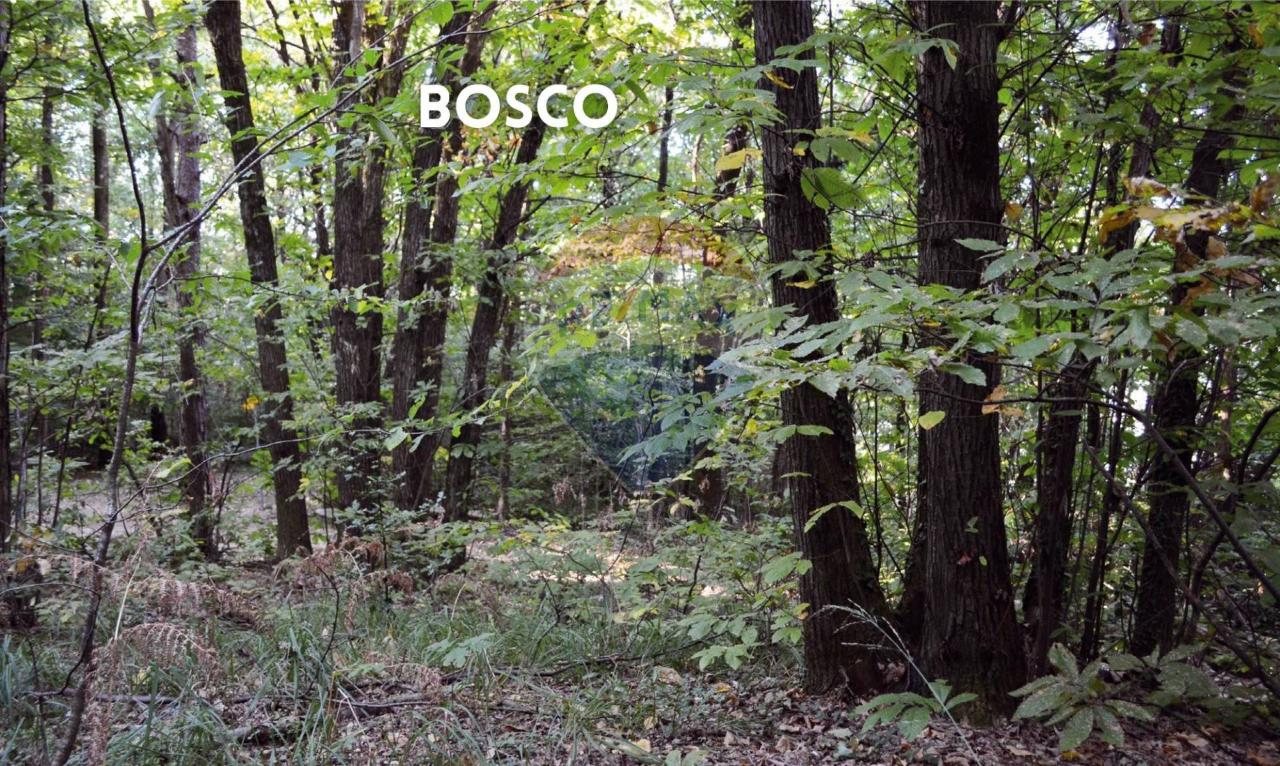 Rustico in vendita a Roccastrada