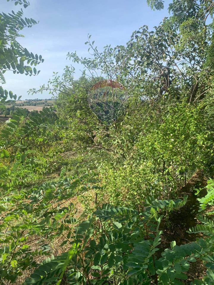 Rustico in vendita a Magliano In Toscana Foto-15