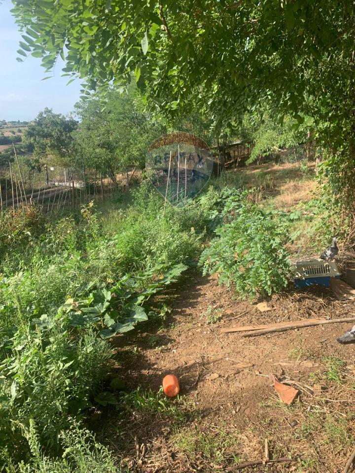 Rustico in vendita a Magliano In Toscana Foto-20