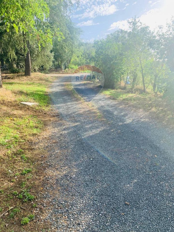 Rustico in vendita a Magliano In Toscana Foto-17