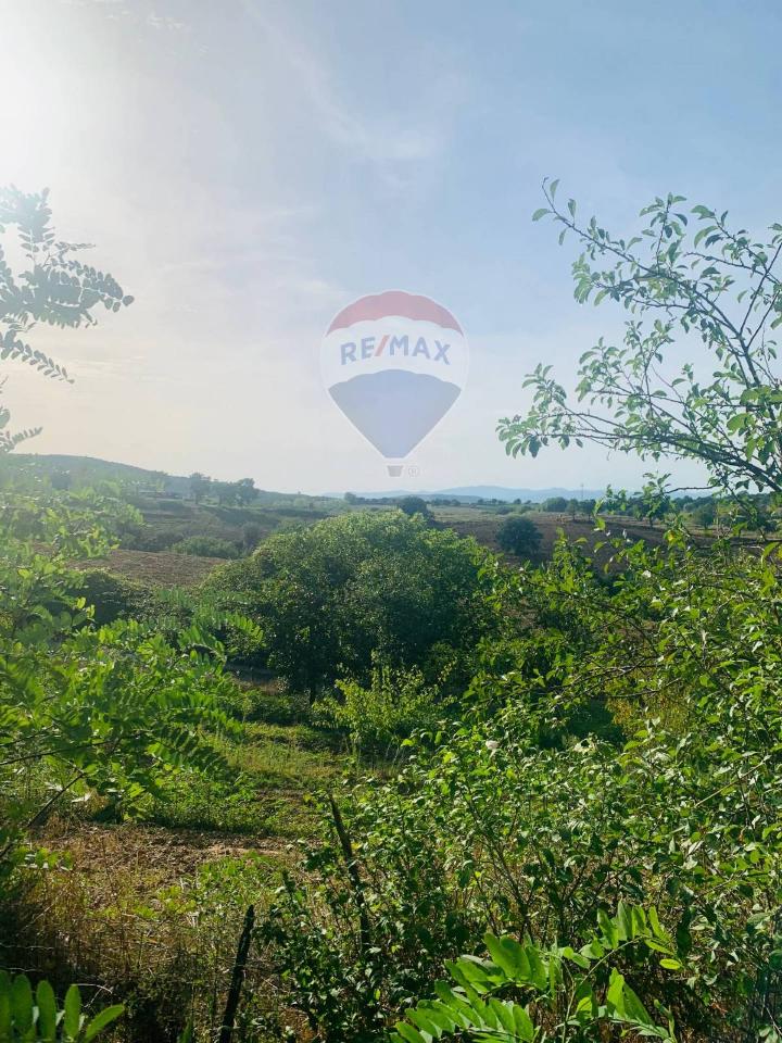 Rustico in vendita a Magliano In Toscana Foto-16