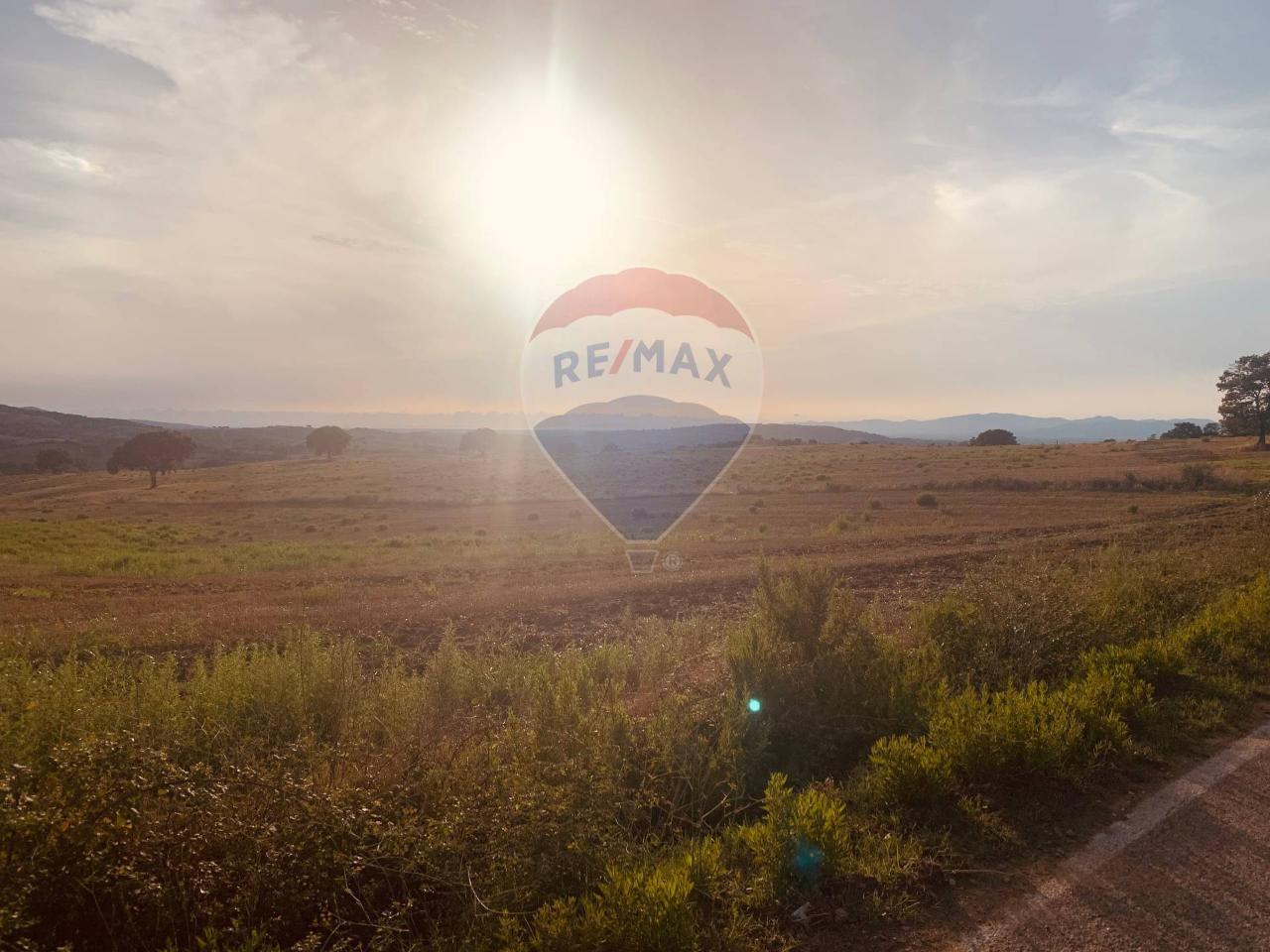 Rustico in vendita a Magliano In Toscana Foto-23