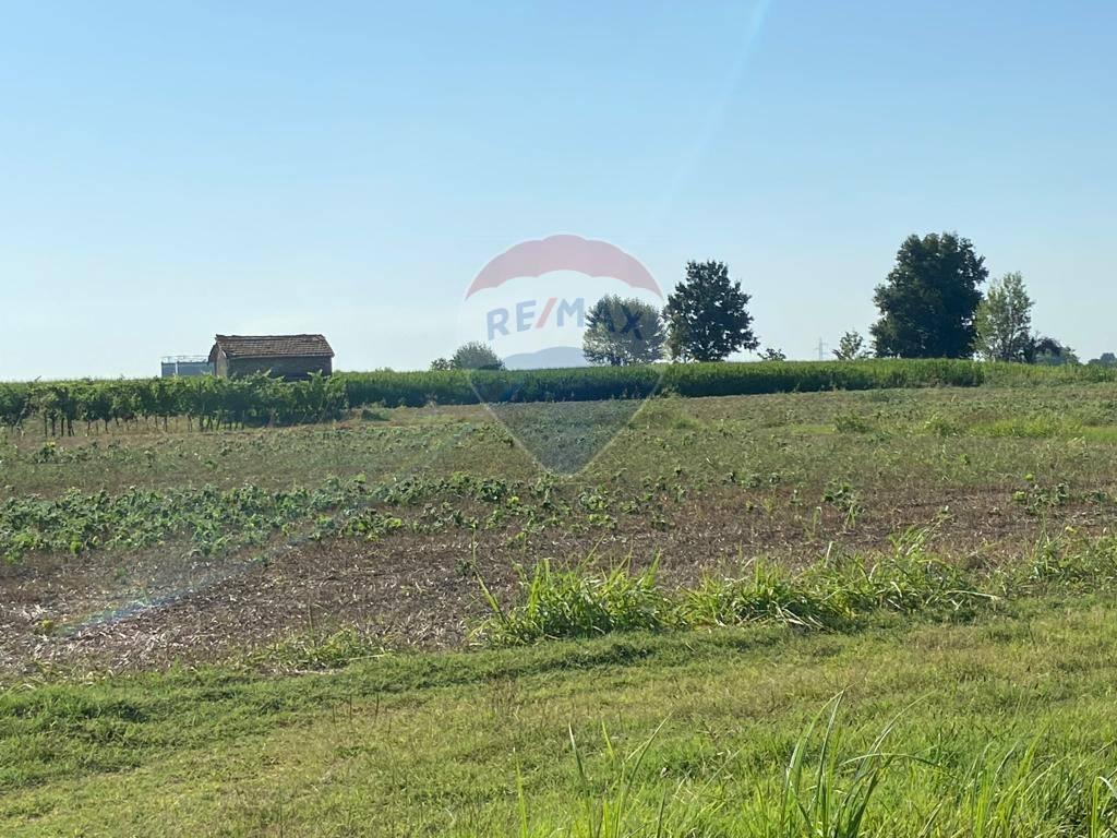 Terreno agricolo in vendita a Viadana
