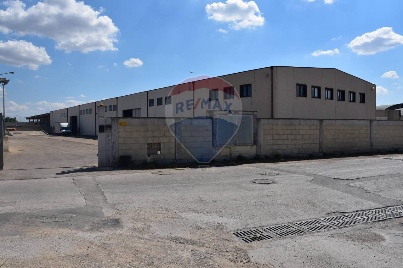 Negozio in affitto a Torre Santa Susanna