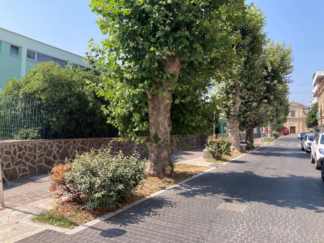 Pizza al taglio in vendita a Montesilvano