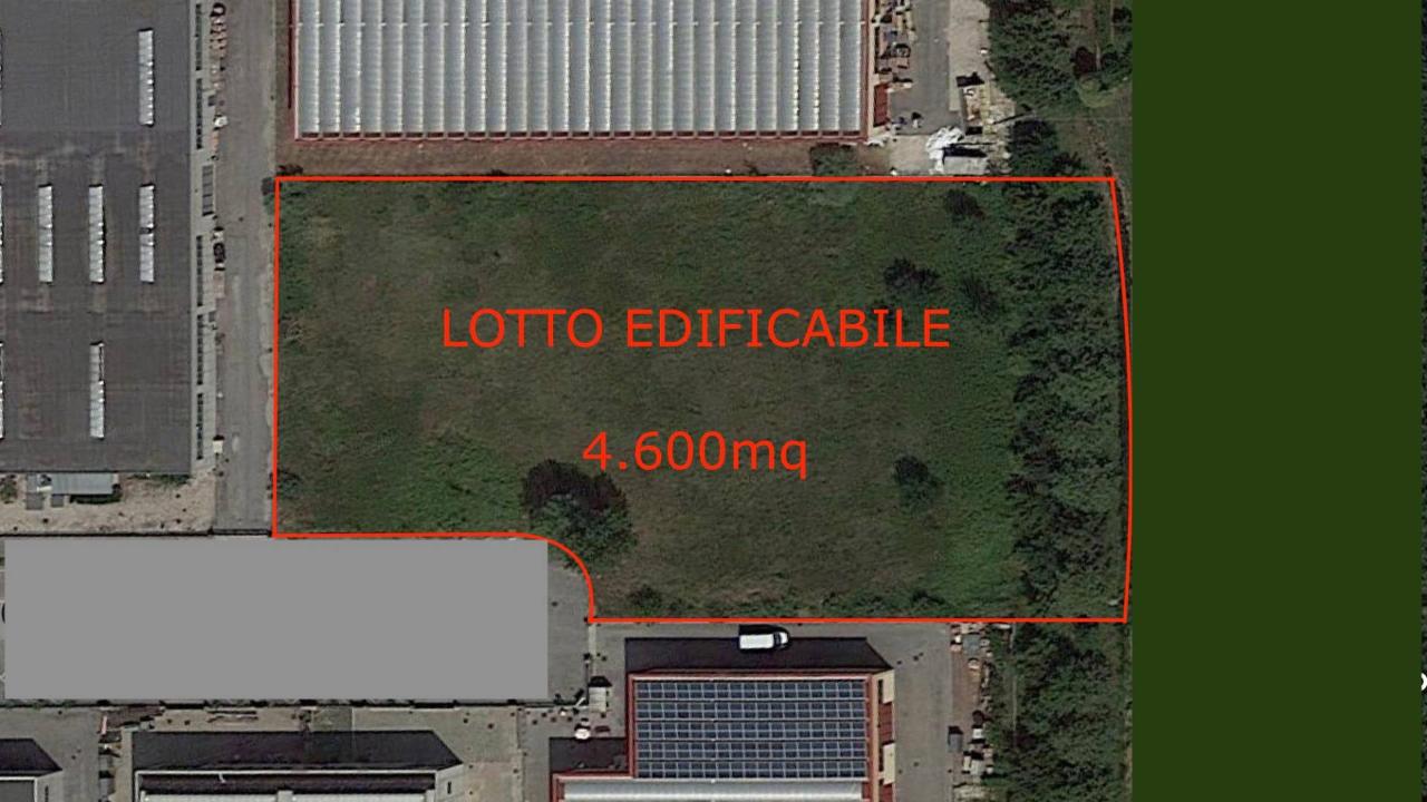 Terreno agricolo in vendita a Morgano