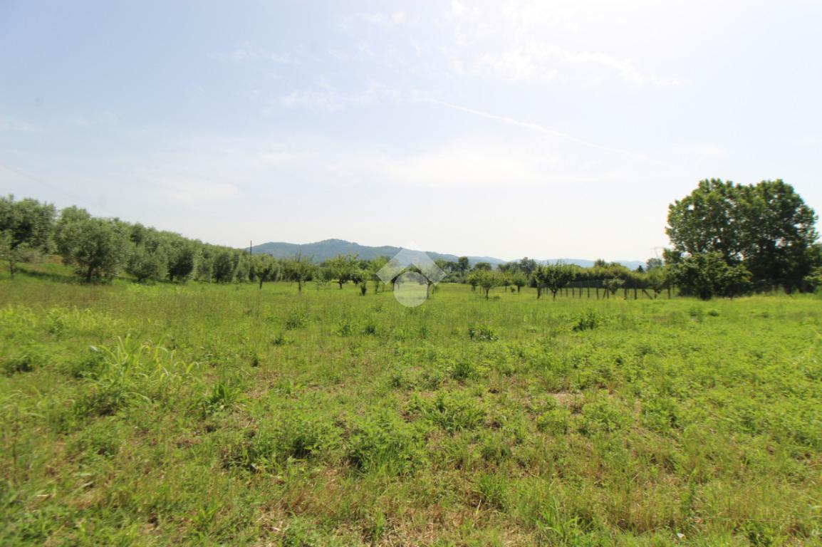 Casa indipendente in vendita a Larciano