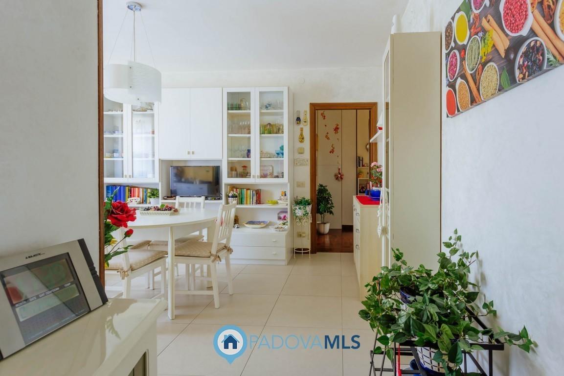 Appartamento in vendita a Terrassa Padovana