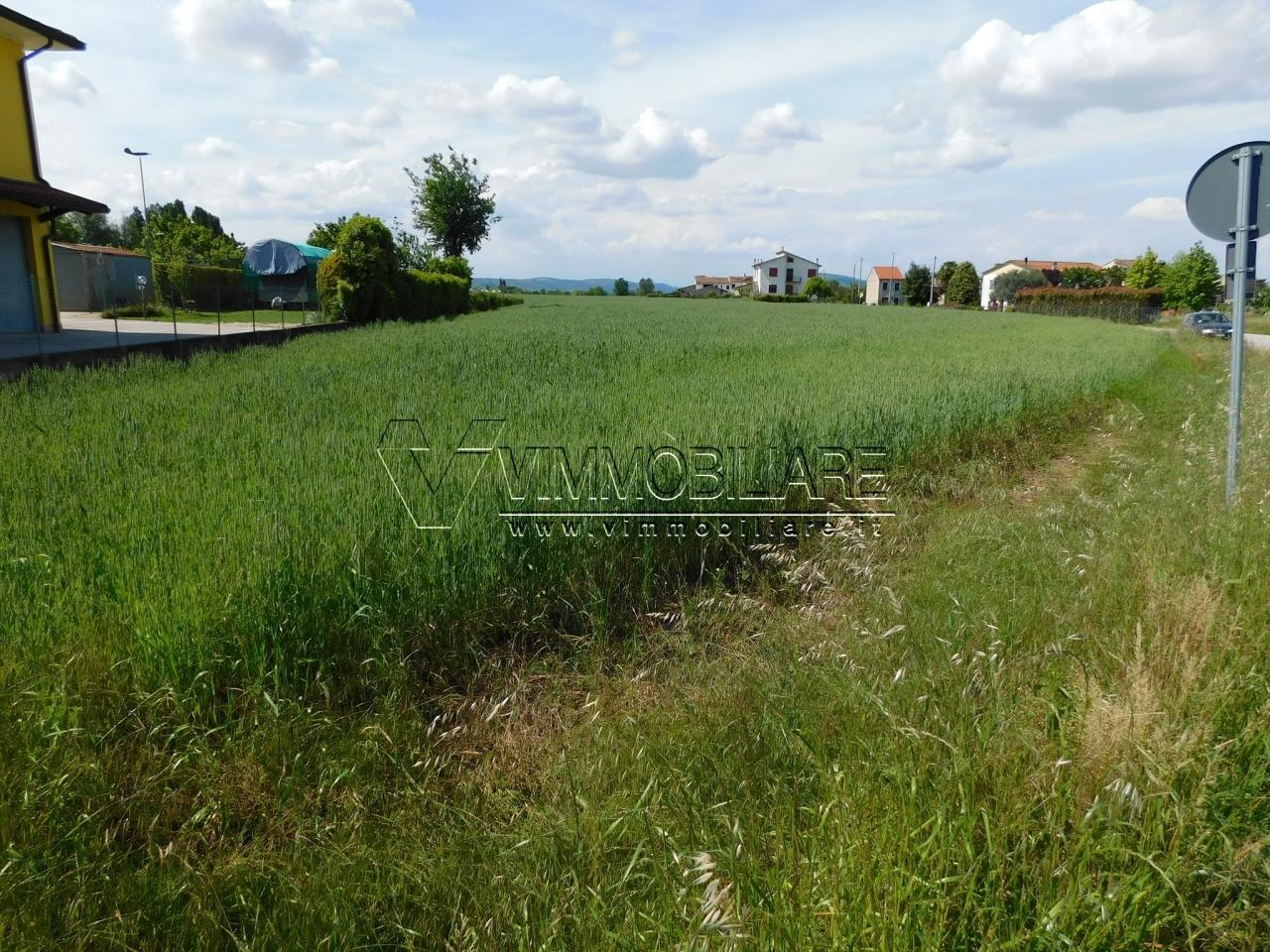 Terreno agricolo in vendita a Noventa Vicentina