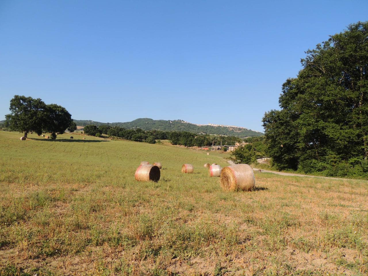 Casa indipendente in vendita a Tufillo