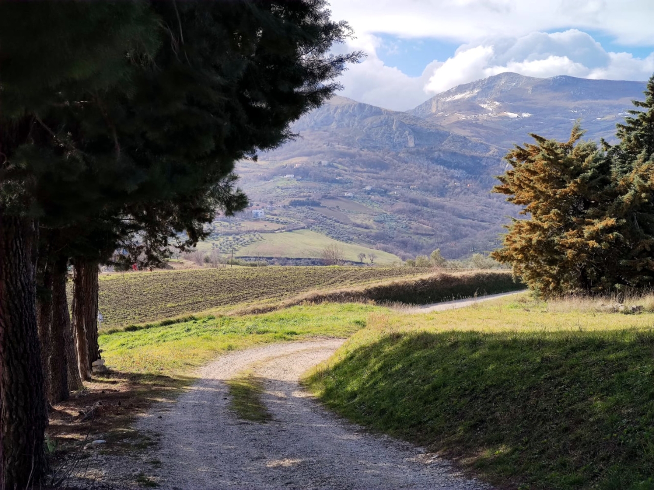 Casa indipendente in vendita a Pietranico