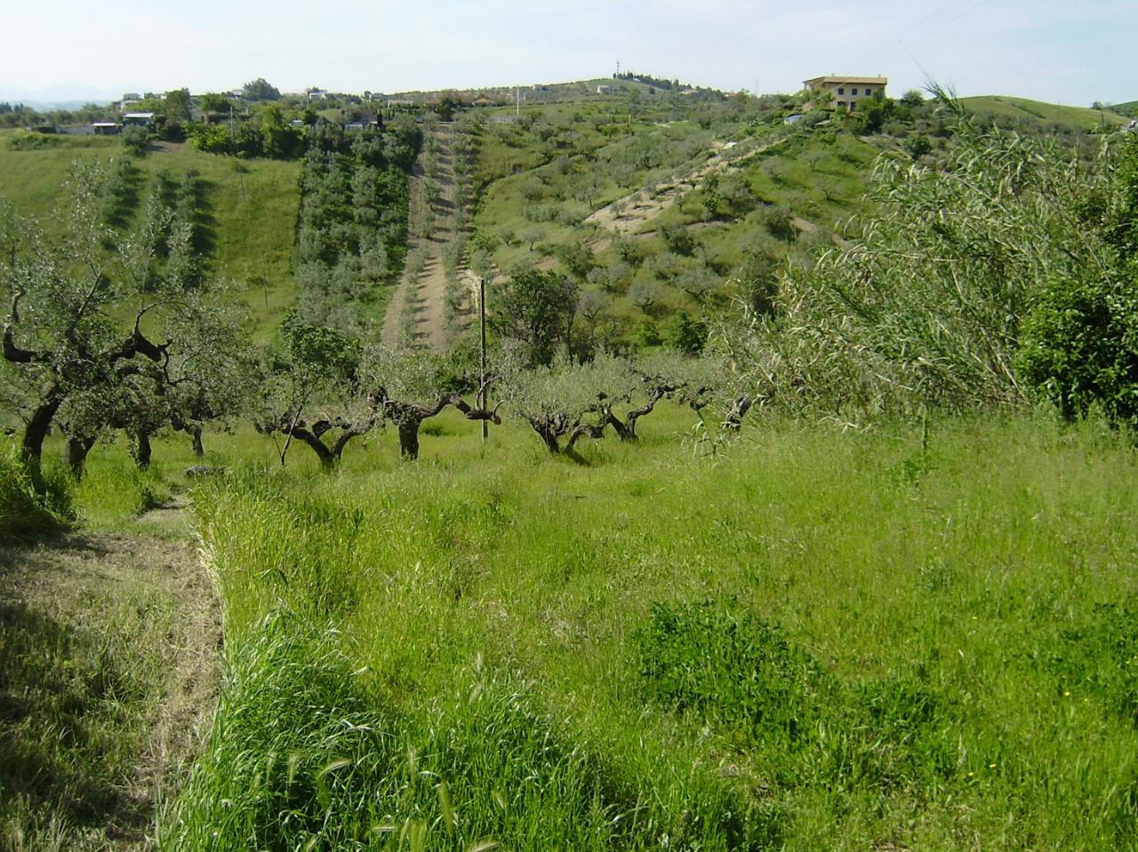 Terreno edificabile in vendita a Spoltore