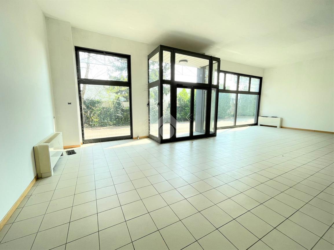 Negozio in affitto a Limena