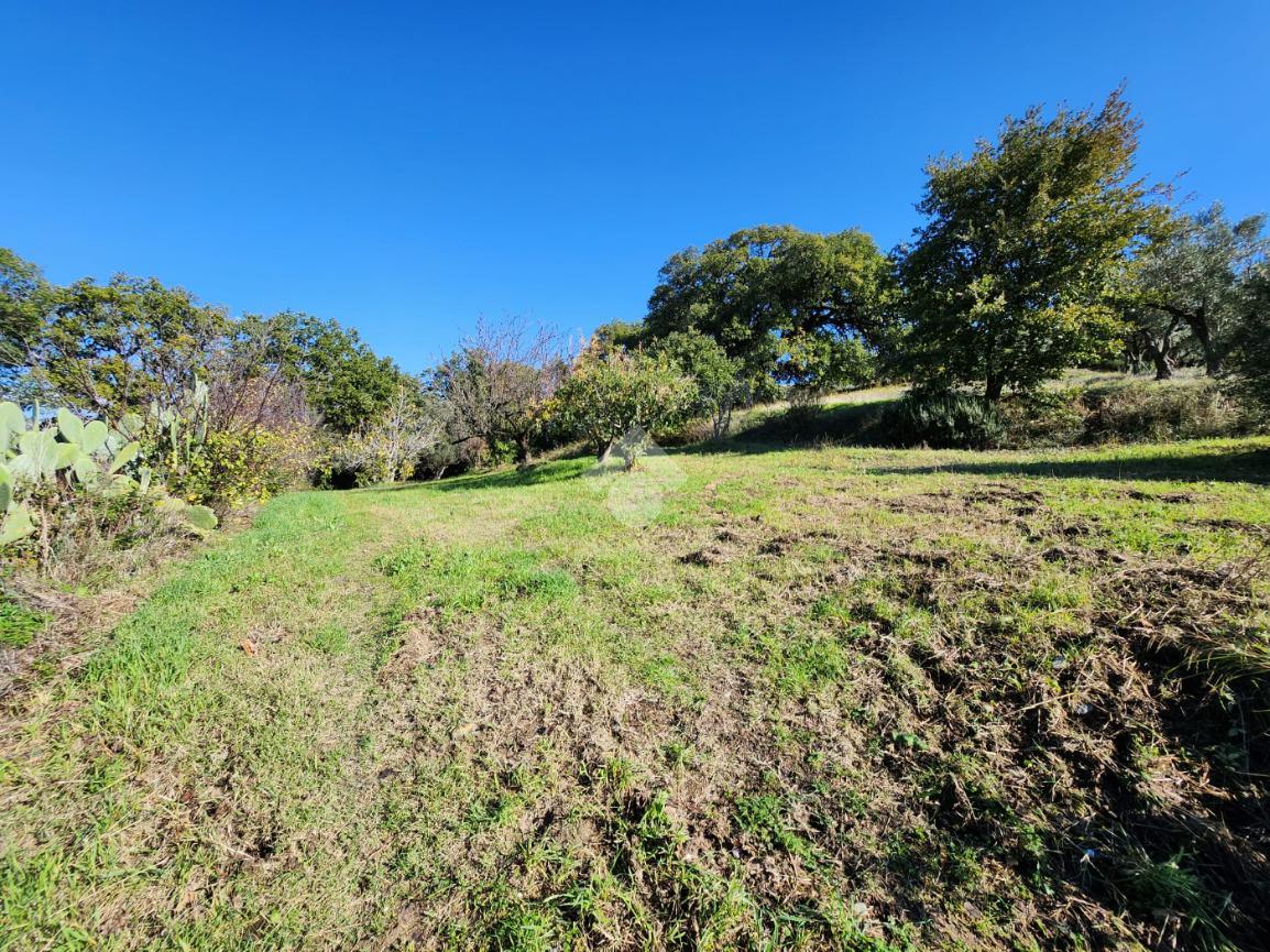 Quadrilocale in Viale Europa 34, Catanzaro