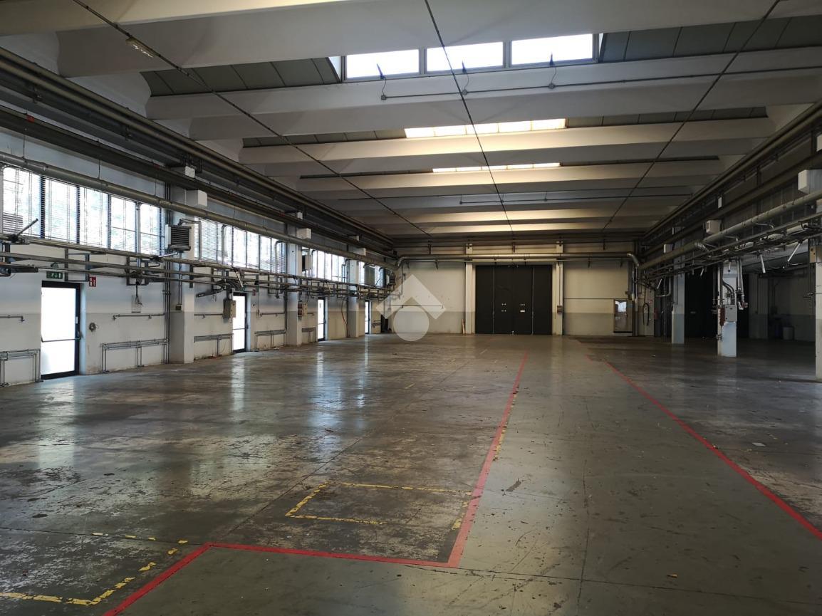 Capannone in affitto a Telgate