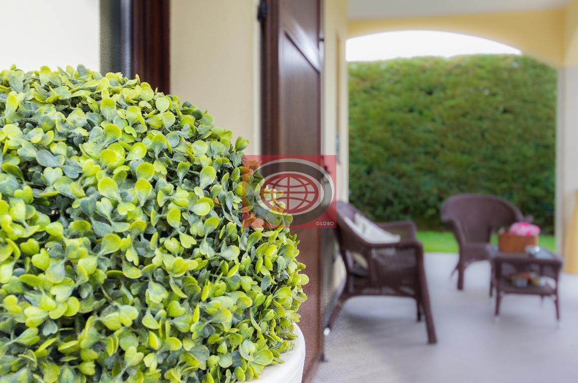 Casa indipendente in vendita a Mercato Saraceno