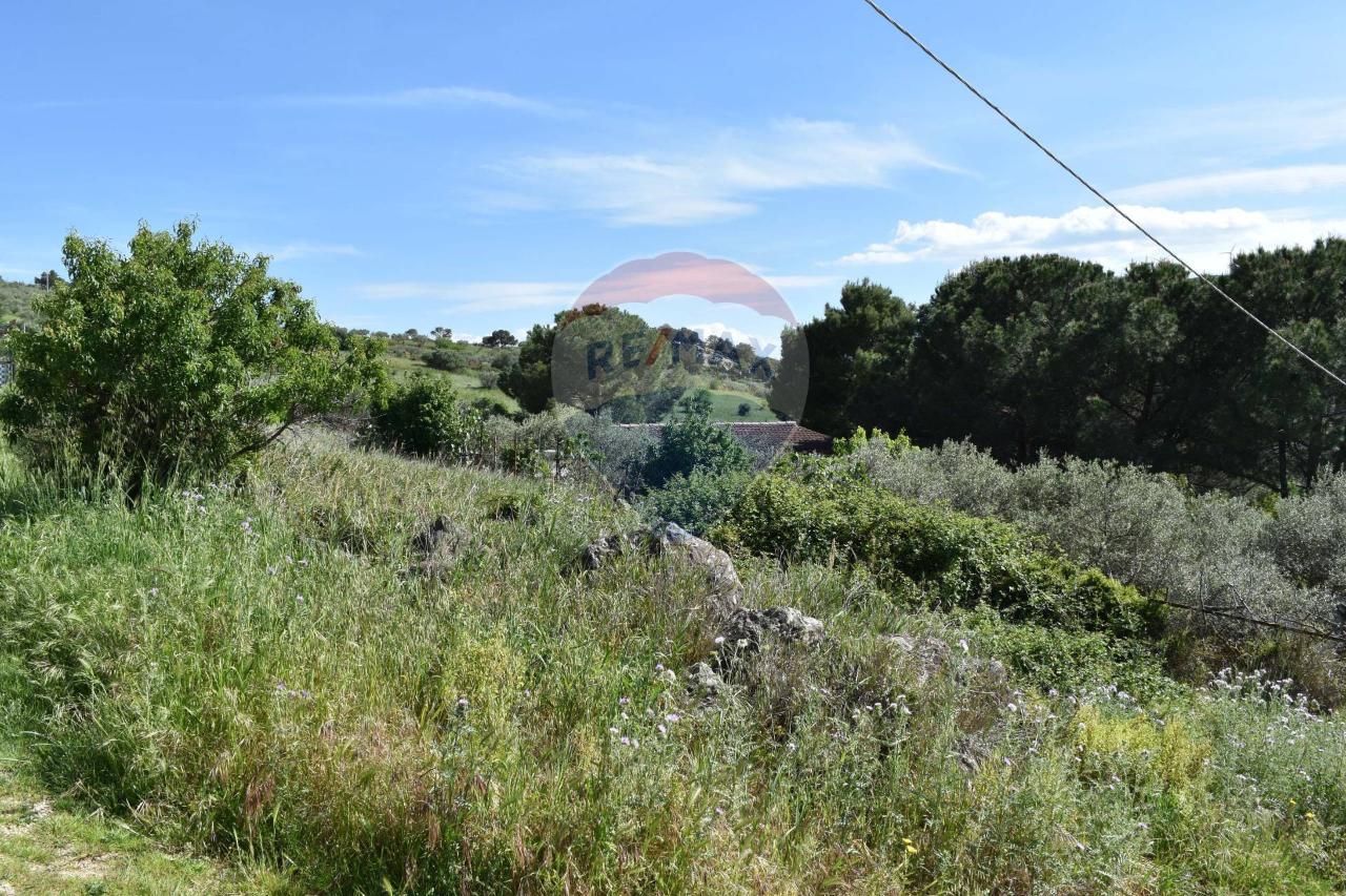 Terreno agricolo in vendita a Bolognetta