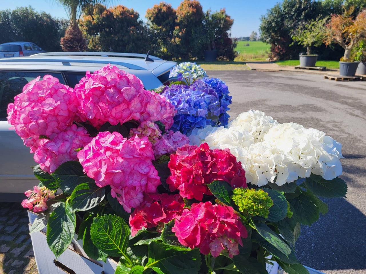 Terreno edificabile in Via Ticino, Anzio