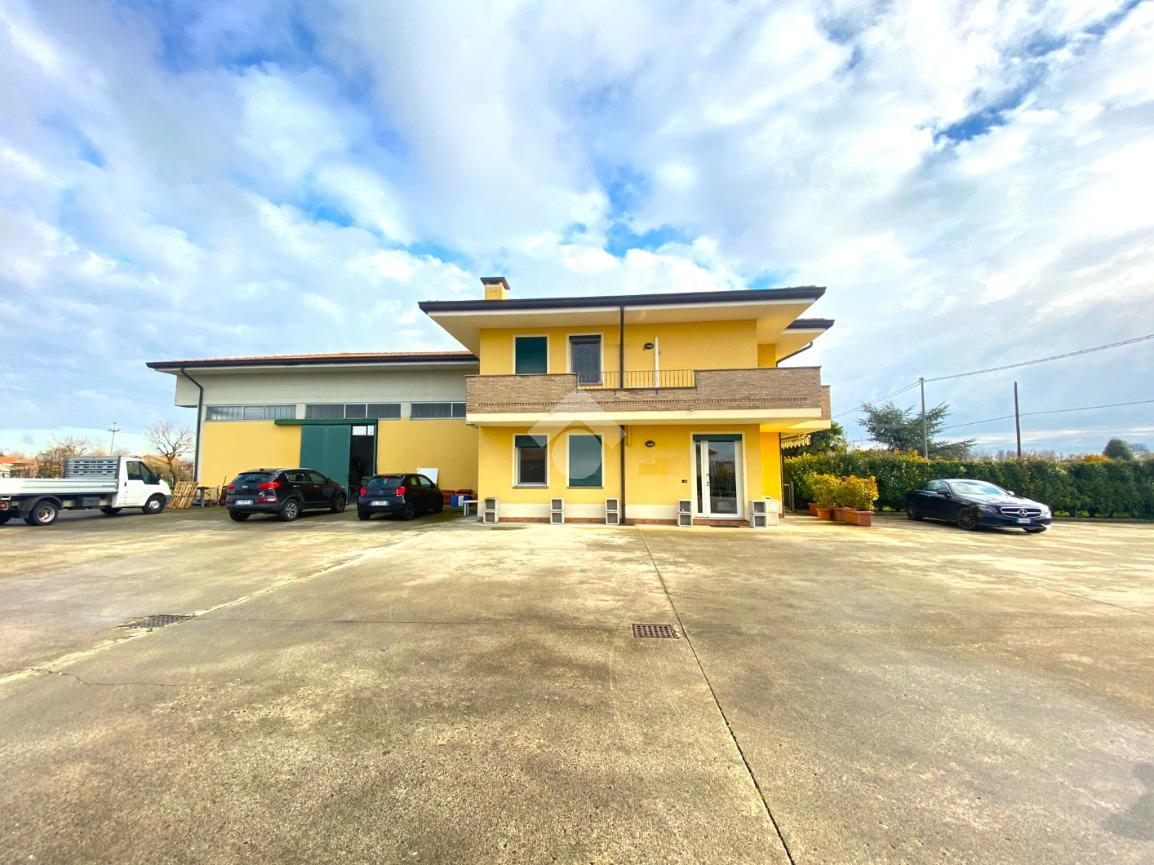 Villa in vendita a San Giorgio Delle Pertiche