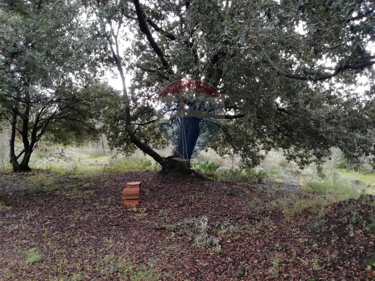 Terreno agricolo in vendita a Belpasso