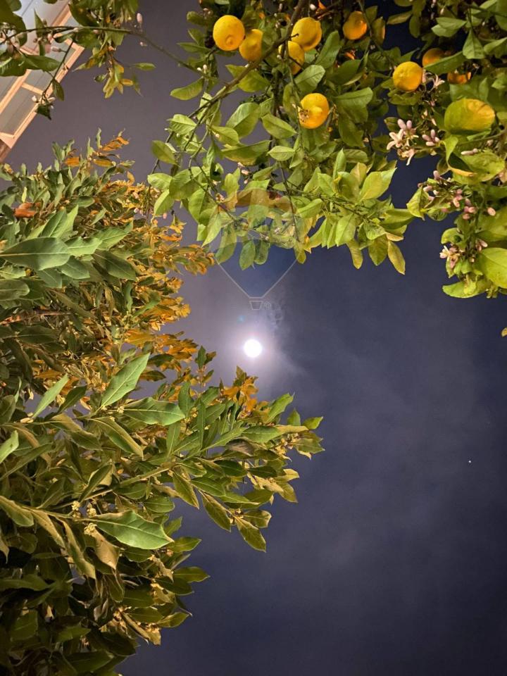 Terreno edificabile in vendita a Linguaglossa