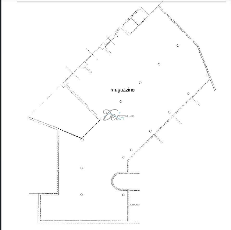 Magazzino in affitto a Capannori