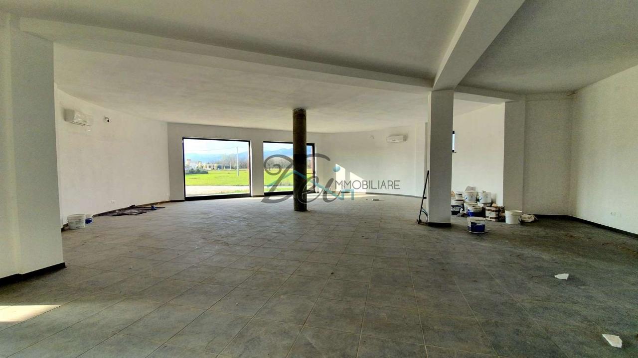 Negozio in affitto a Capannori