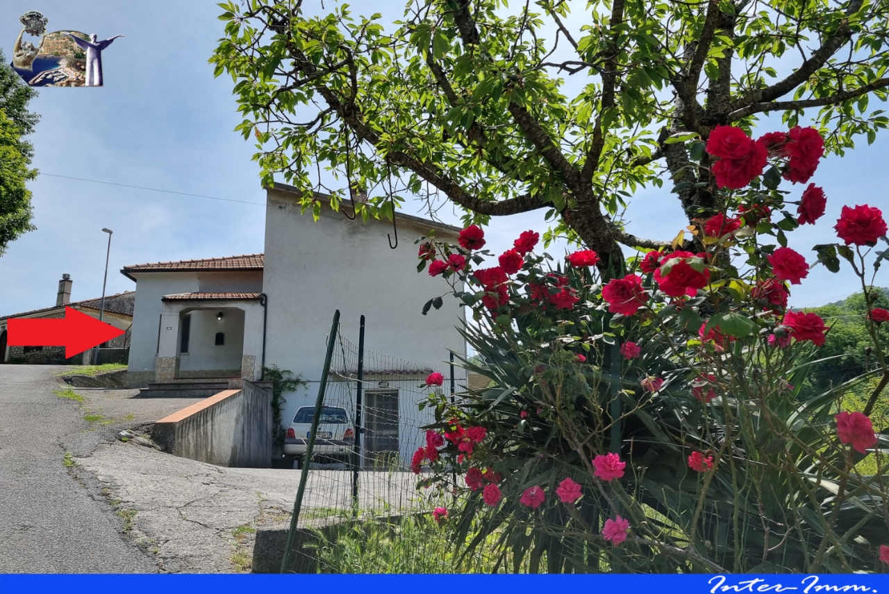 Appartamento in vendita a Trecchina