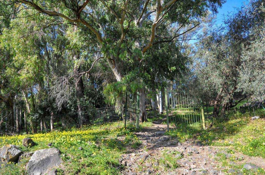 Terreno agricolo in vendita a Catania