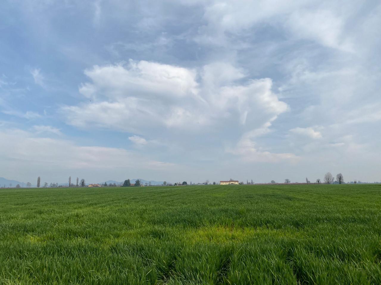 Terreno agricolo in vendita a Monselice