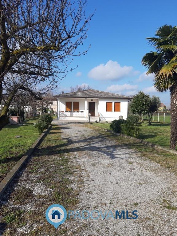 Casa indipendente in vendita a San Pietro Viminario