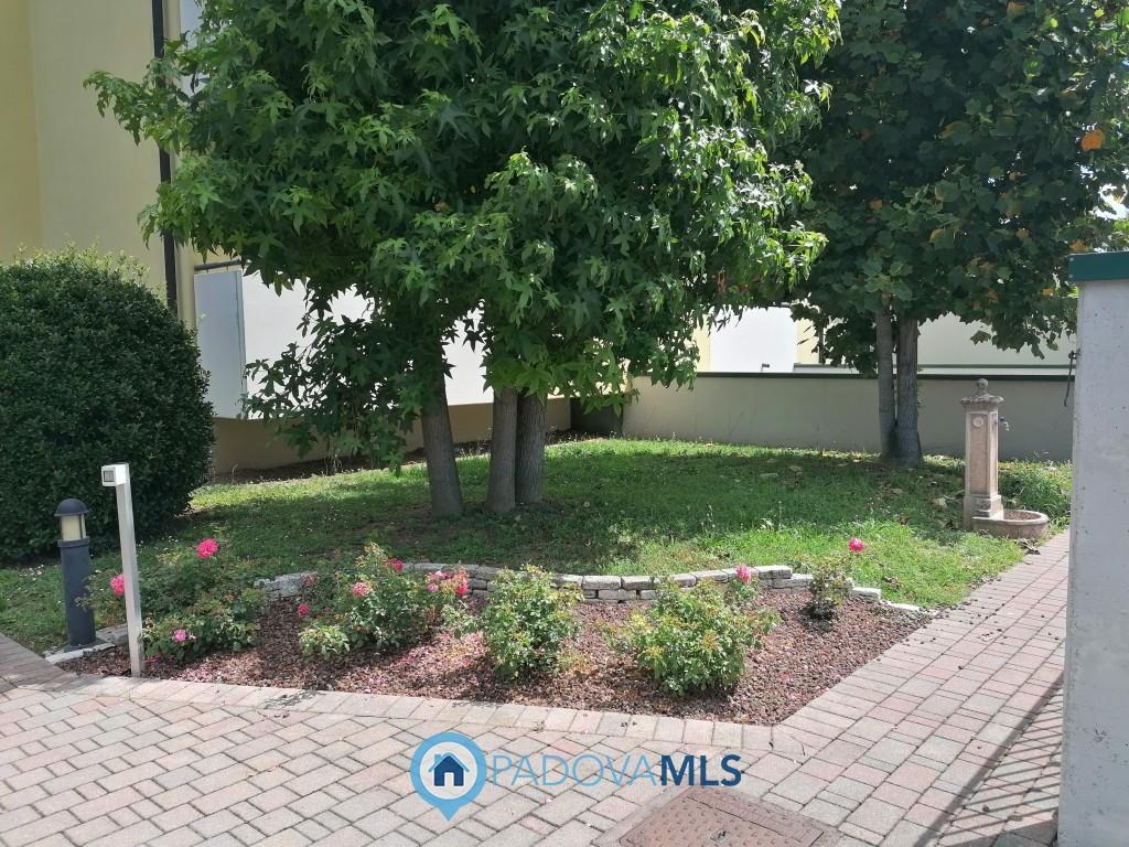 Appartamento in vendita a Campodarsego