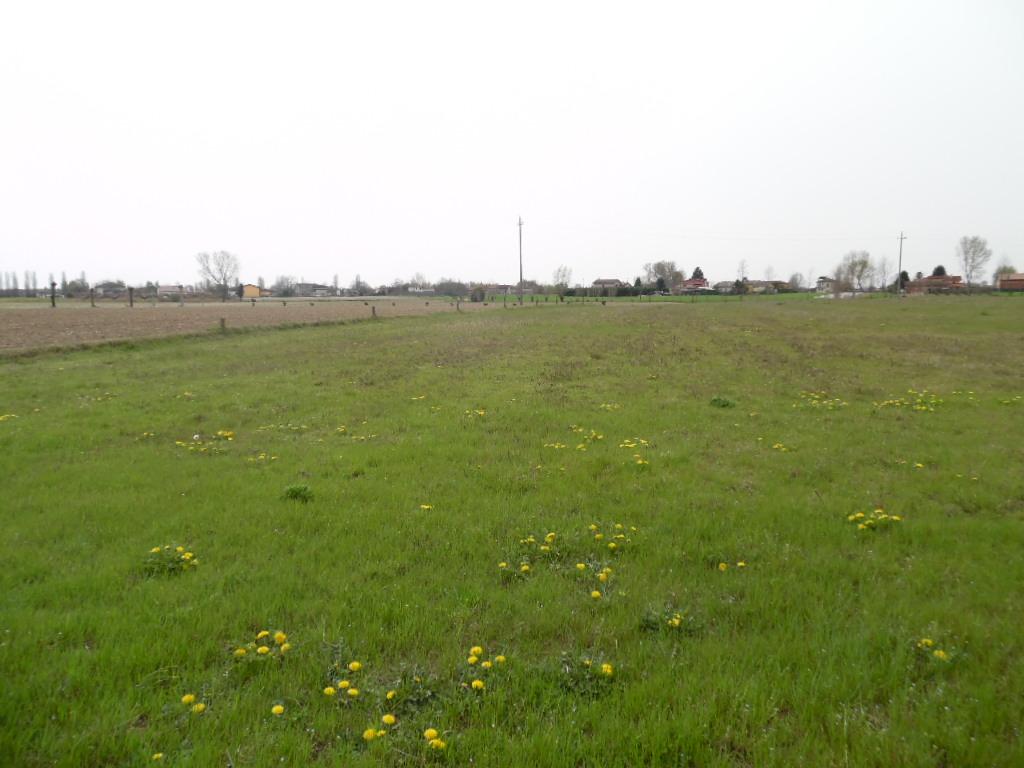 Terreno edificabile residenziale in vendita a Candiana