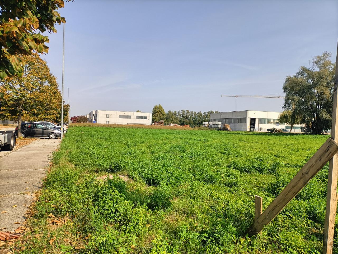 Terreno edificabile residenziale in vendita a Terrassa Padovana