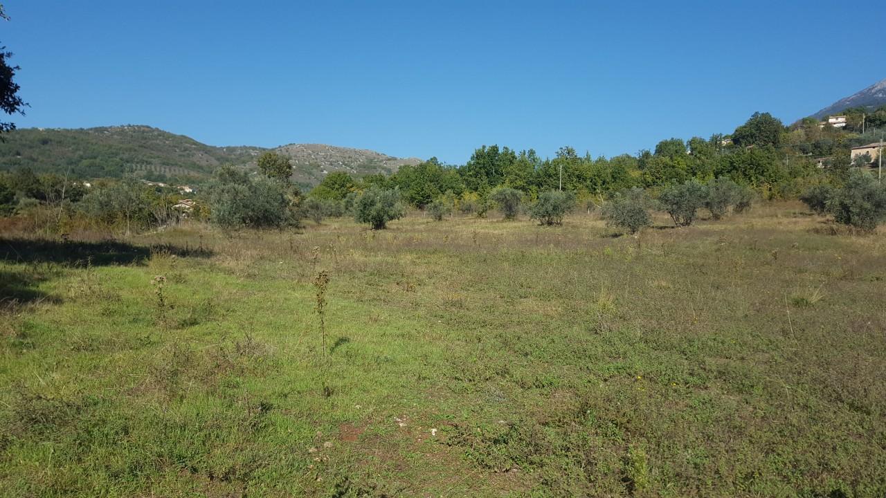 Terreno agricolo in vendita a Alvito