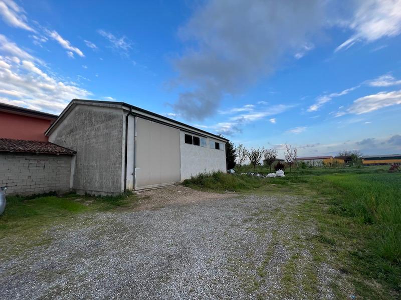 Capannone in vendita a Codevigo