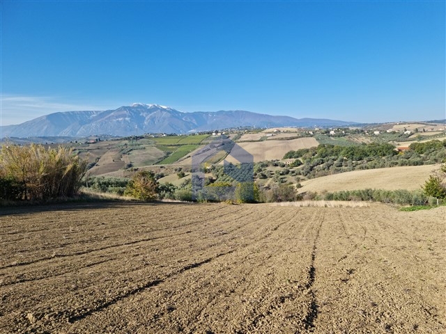 Terreno edificabile in vendita a Castel Frentano